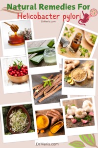 Evidence-Based Natural Remedies for Helicobacter pylori - Dr. Meri's